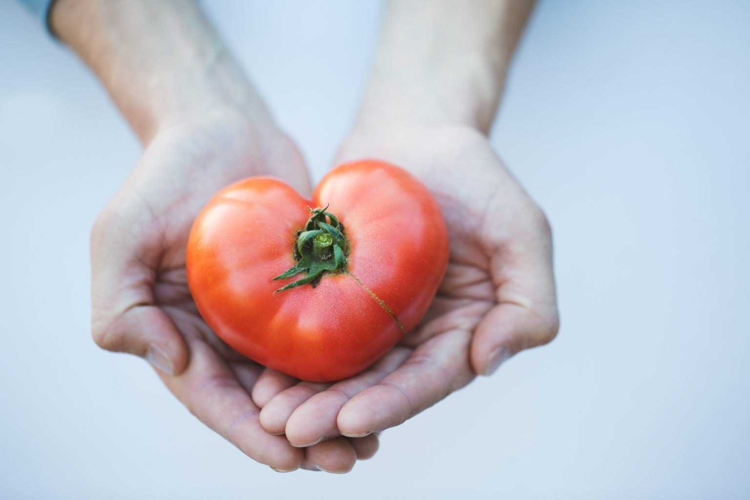 Rethink Food: Combating Food Waste and Hunger in NYC - Passionate About ...